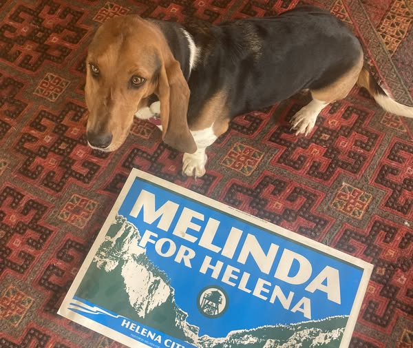 Running for re-election – Melinda Reed for Helena City Commission
